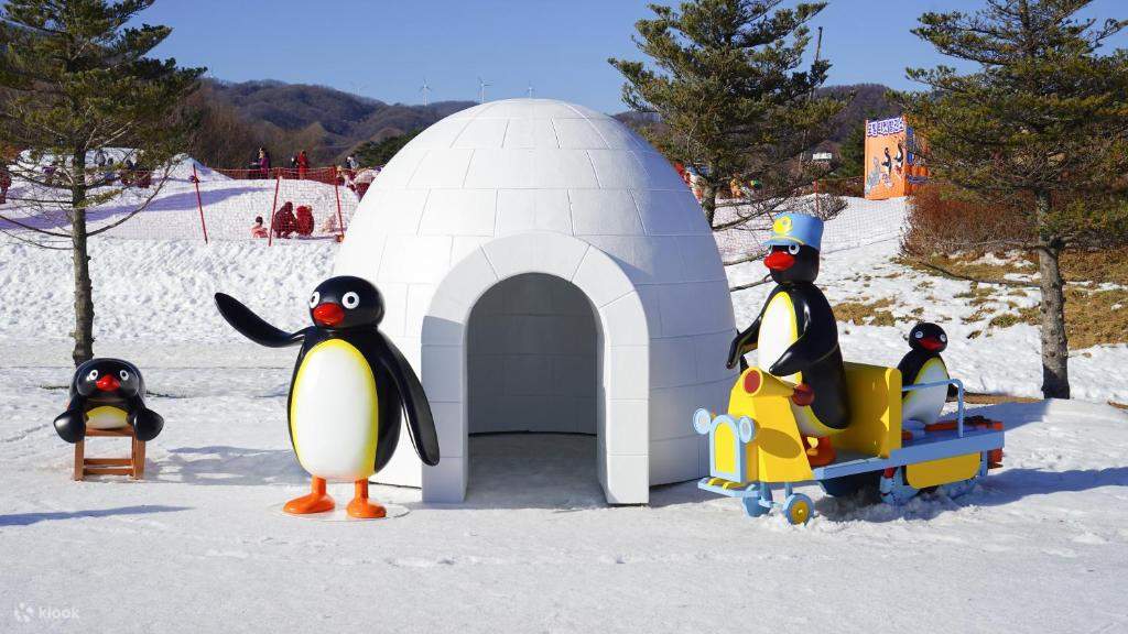 PyeongChang Olympic Venue: Phoenix Snow Park One-Day Tour - Klook